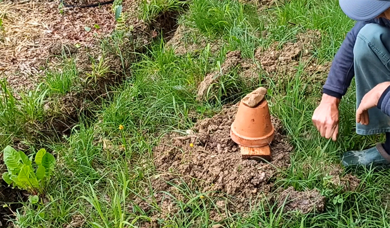Fabriquer un Piège à Fourmis - SlyDventure